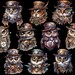 Steampunk Owl Clipart, Fantasy Bird Character Portaits Bundle ...