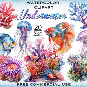 Underwater PNG Bundle, Watercolor Sea Animal Clipart, Under the Sea ...