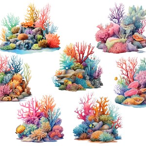 Coral Reef PNG Bundle, Watercolor Nature Clipart, Under the Sea ...