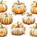 White and Gold Pumpkin Png, Watercolor Fall Clipart Bundle, Autumn ...