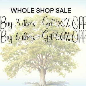 Summer Forest Trees Clipart, Tree Species Png Images Bundle ...