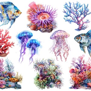 Underwater PNG Bundle, Watercolor Sea Animal Clipart, Under the Sea ...