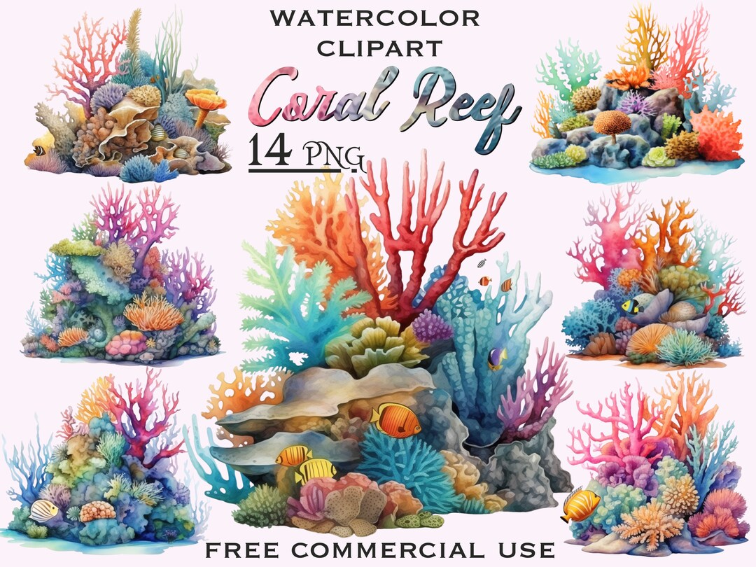 Coral Reef PNG Bundle, Watercolor Nature Clipart, Under the Sea ...