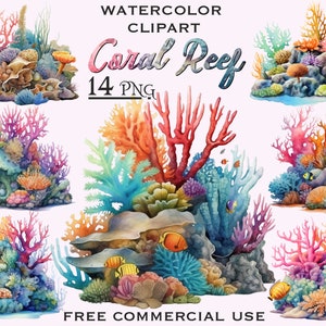 Coral Reef PNG Bundle, Watercolor Nature Clipart, Under the Sea ...
