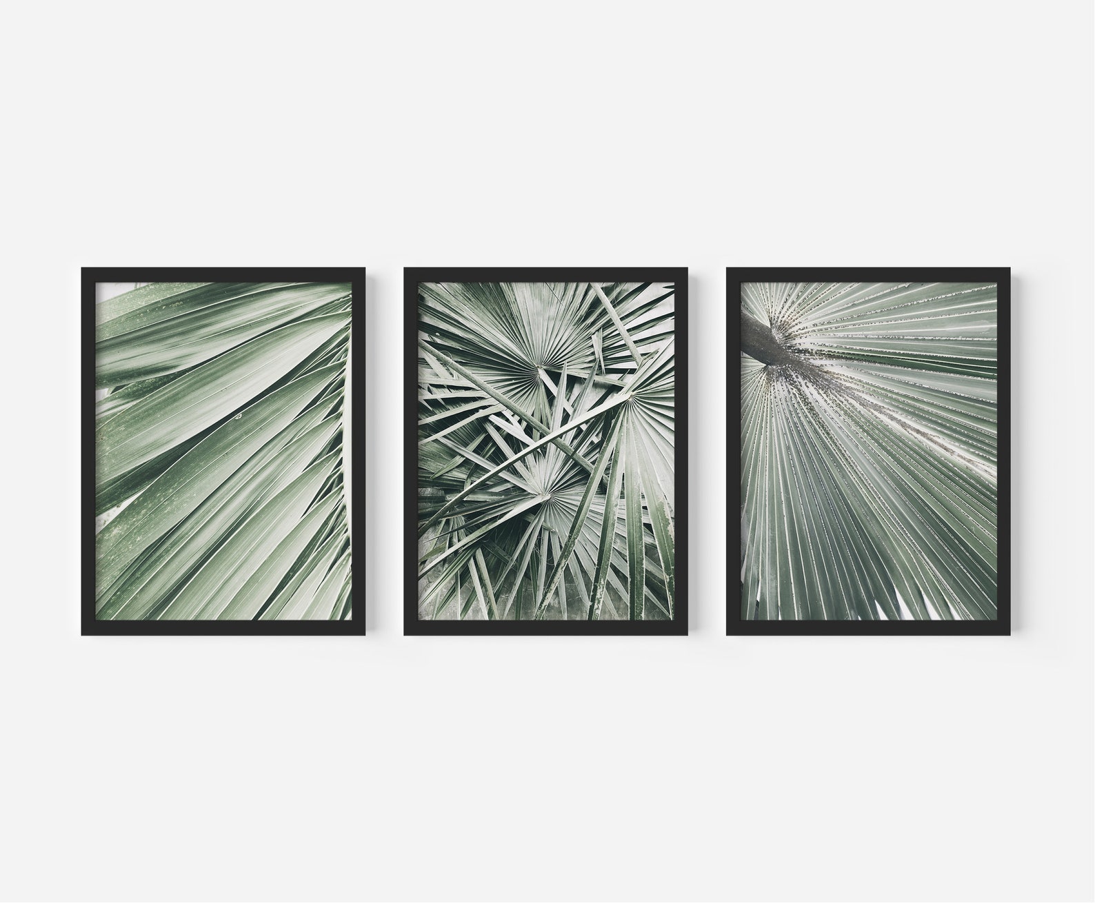 Set of 3 Greenery Wall Decor in Frames, Sage Green Tropical Leaves Framed Wall Art, Boho ...