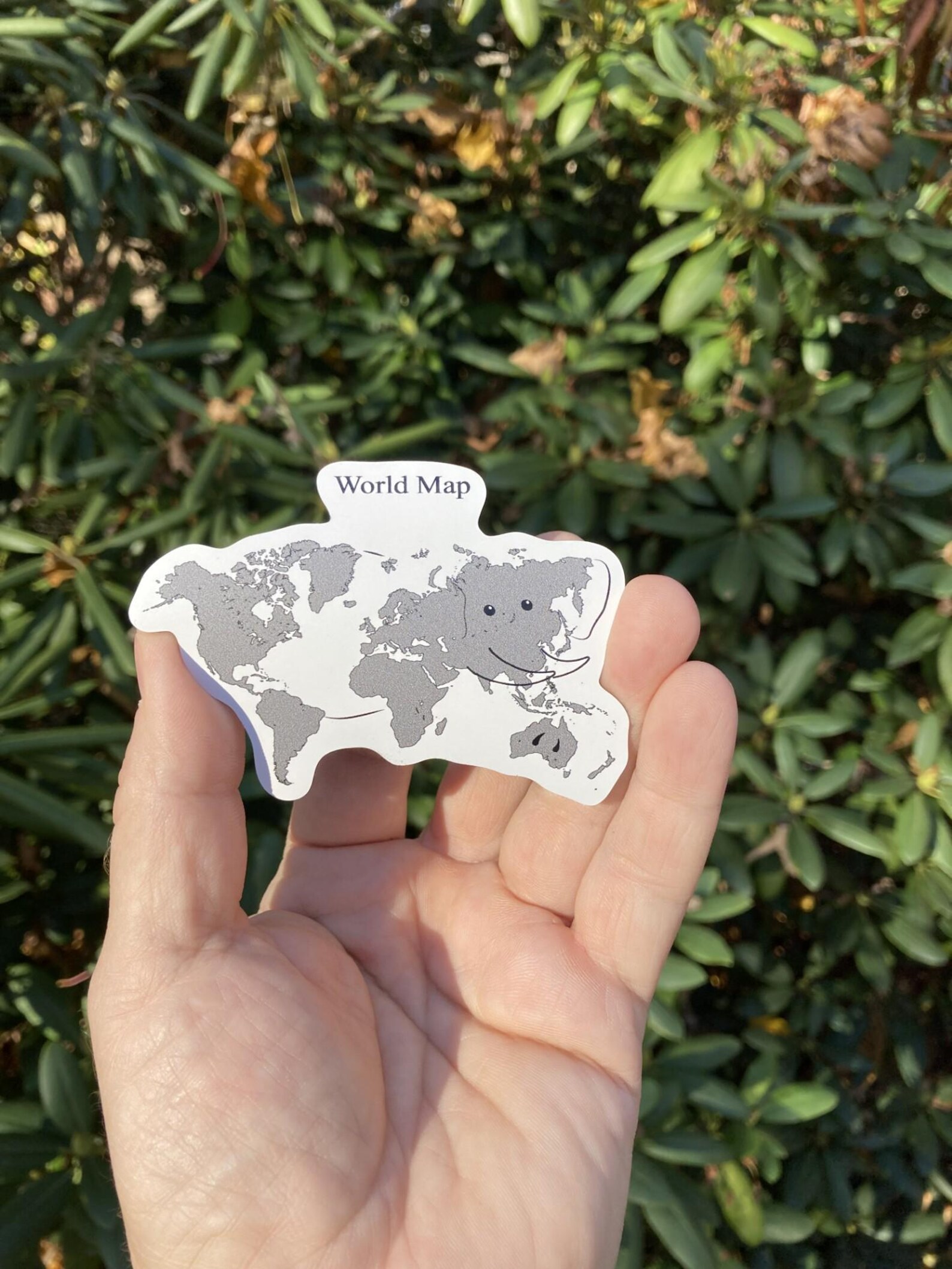World. Flexible Fridge Magnet 3.5"x2.5" Funny Map of the World (little ...