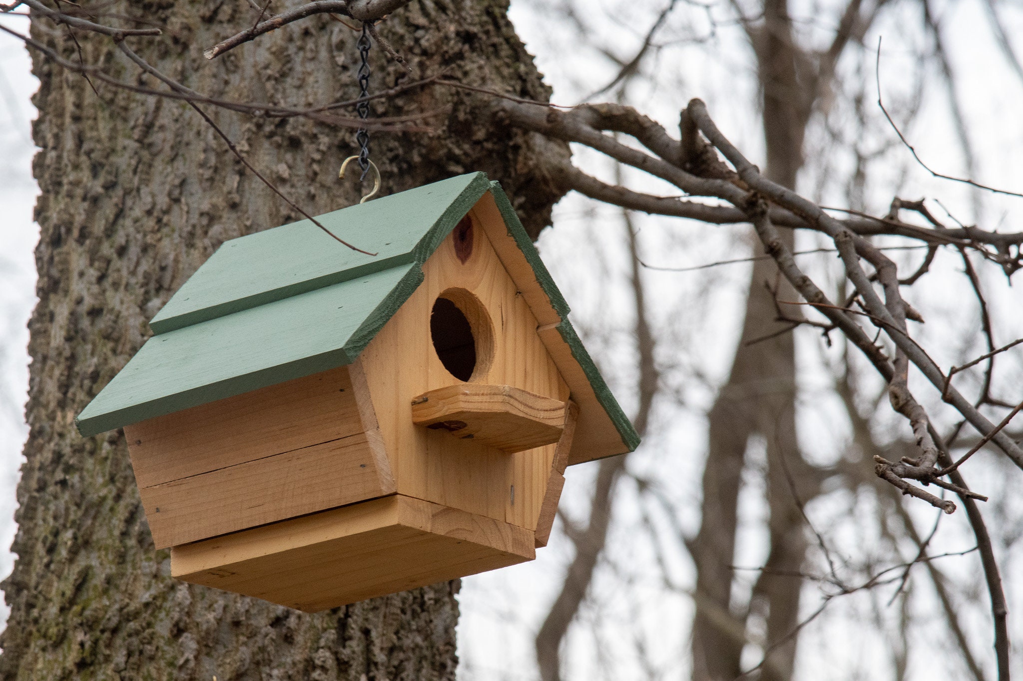 Handmade Wooden Bird House - Etsy