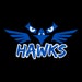 Hawks Logo - Etsy
