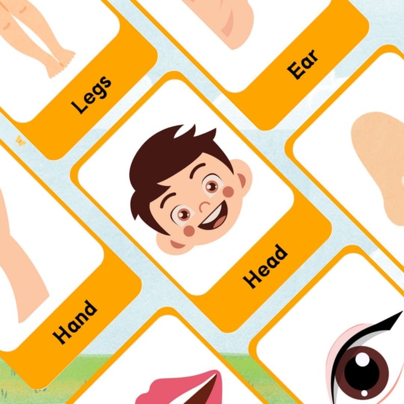 16 Interactive Human Body Parts Flashcards, Montessori, Fun Learning ...