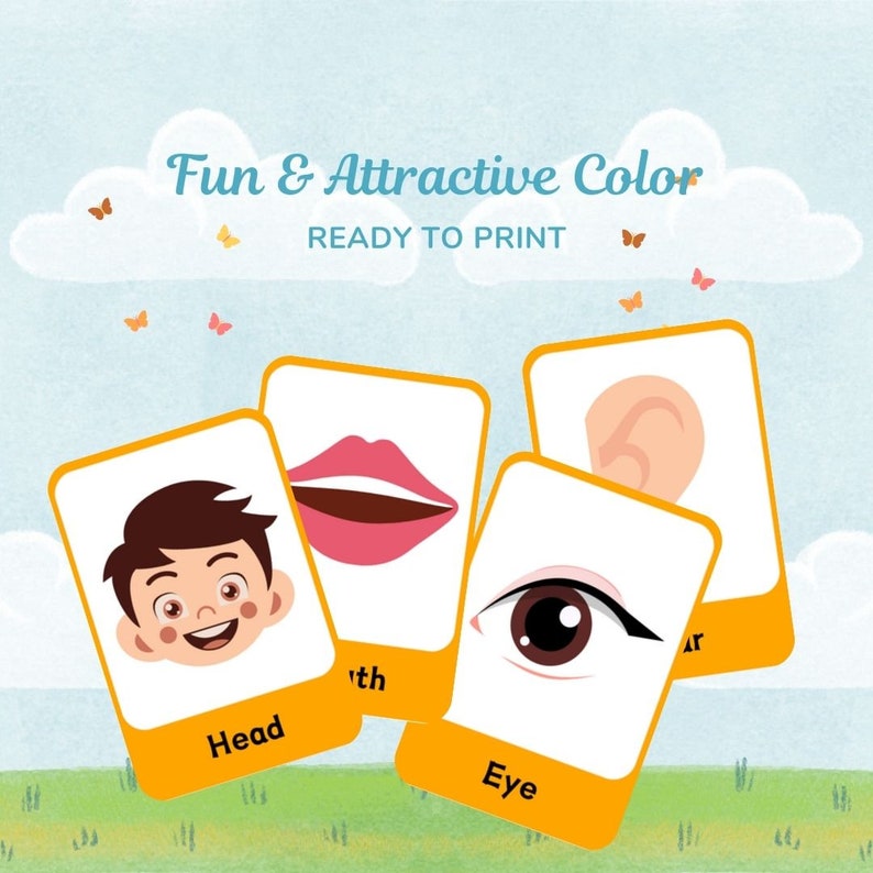 16 Interactive Human Body Parts Flashcards, Montessori, Fun Learning ...