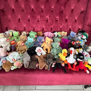 Amazing Beanie Baby Collection - Etsy