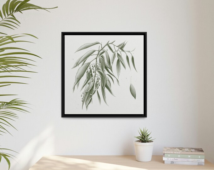 Weeping Willow (salix Babylonica) Framed Canvas Print Willow Botanical ...