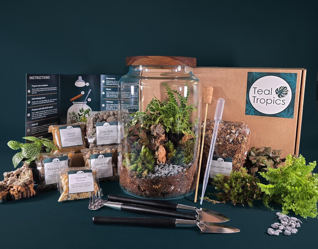 Large Glass Jar Terrarium Kit - Gift Set DIY Soil Pebbles Stones Leca ...