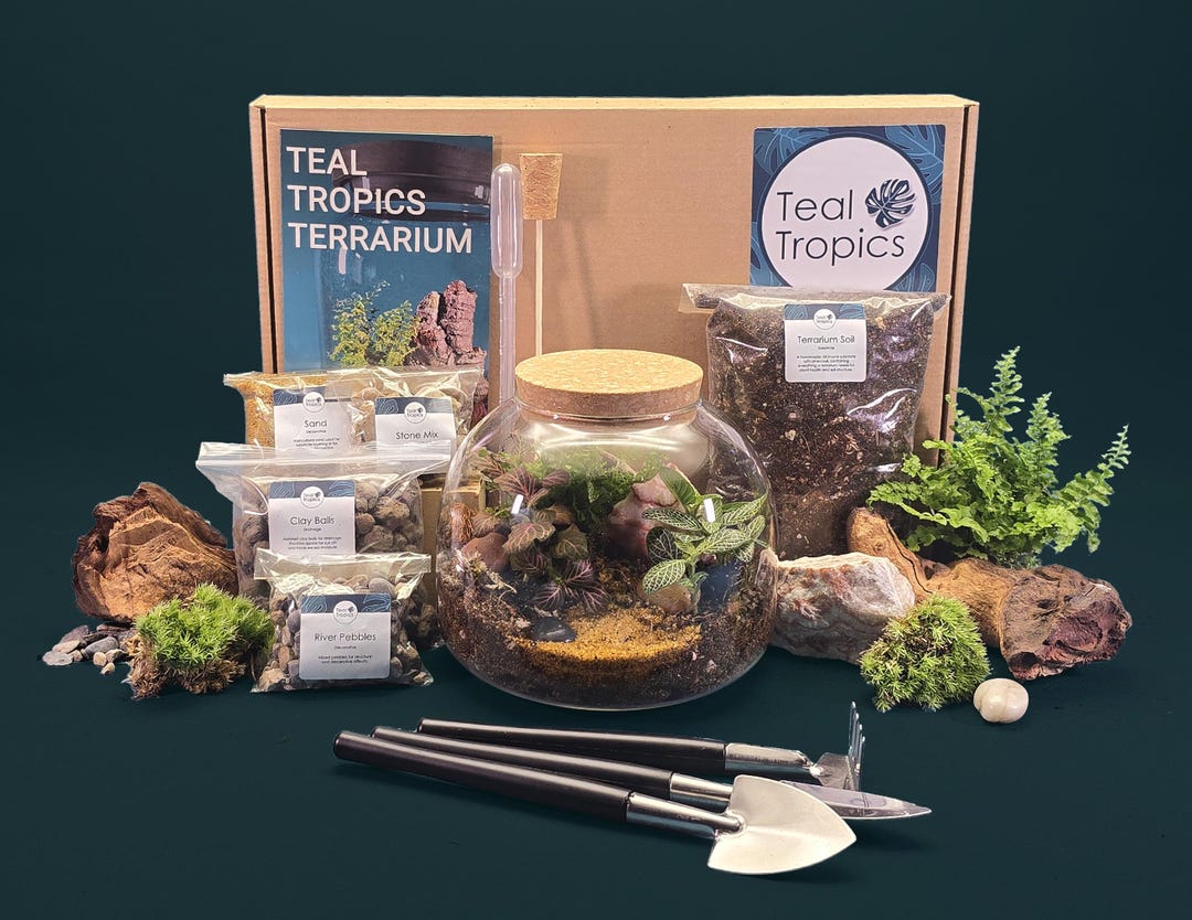 Glass Dome Terrarium Kit - Gift Set DIY Soil Pebbles Stones Leca Plants ...