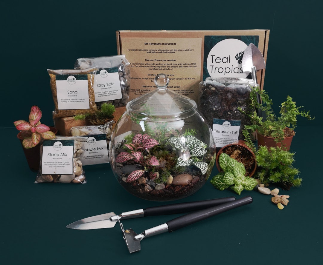 Glass Globe Terrarium Kit - Gift Set DIY Soil Pebbles Stones Leca ...