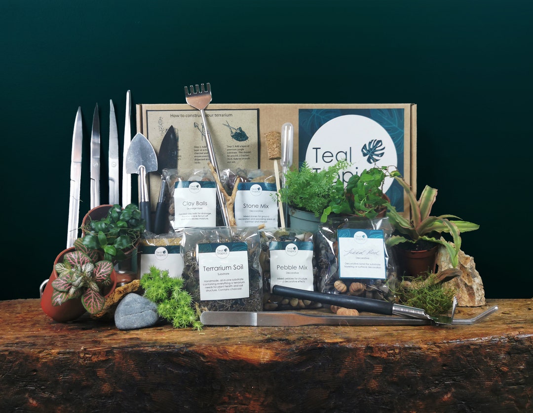 Terrarium Substrate & Tools Kit DIY Gift Set Soil Pebbles Stones Leca ...