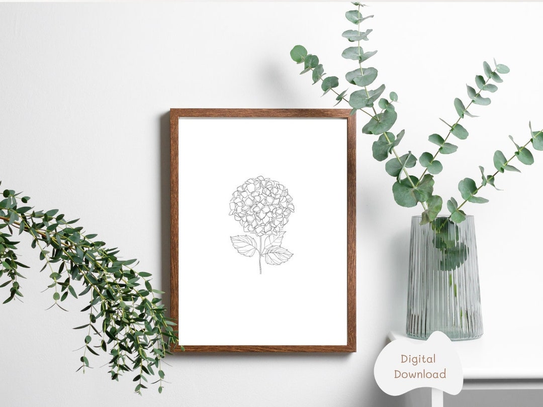 Hydrangea Line Art Print: Minimalist Botanical Wall Decor (digital ...