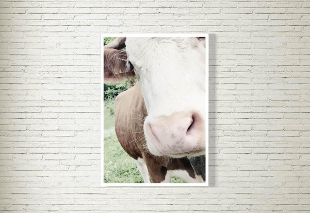 Cow Poster | Modern Poster | Poster Print | Typography | Bavarian ...
