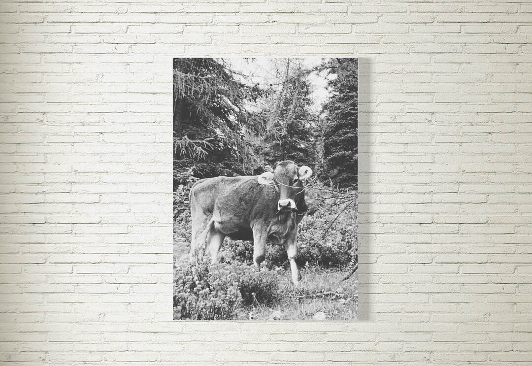 Cow Mountains Poster | Modern Poster | Poster Print | Typography ...