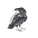 Edgar Allan Poe the Raven Nevermore Die-cut Stickers, American ...