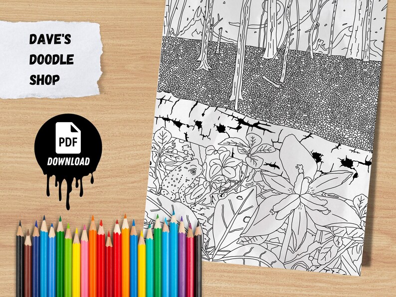 Coloring Page Forest Flames Plants and Animals Surviving Fire toad ...