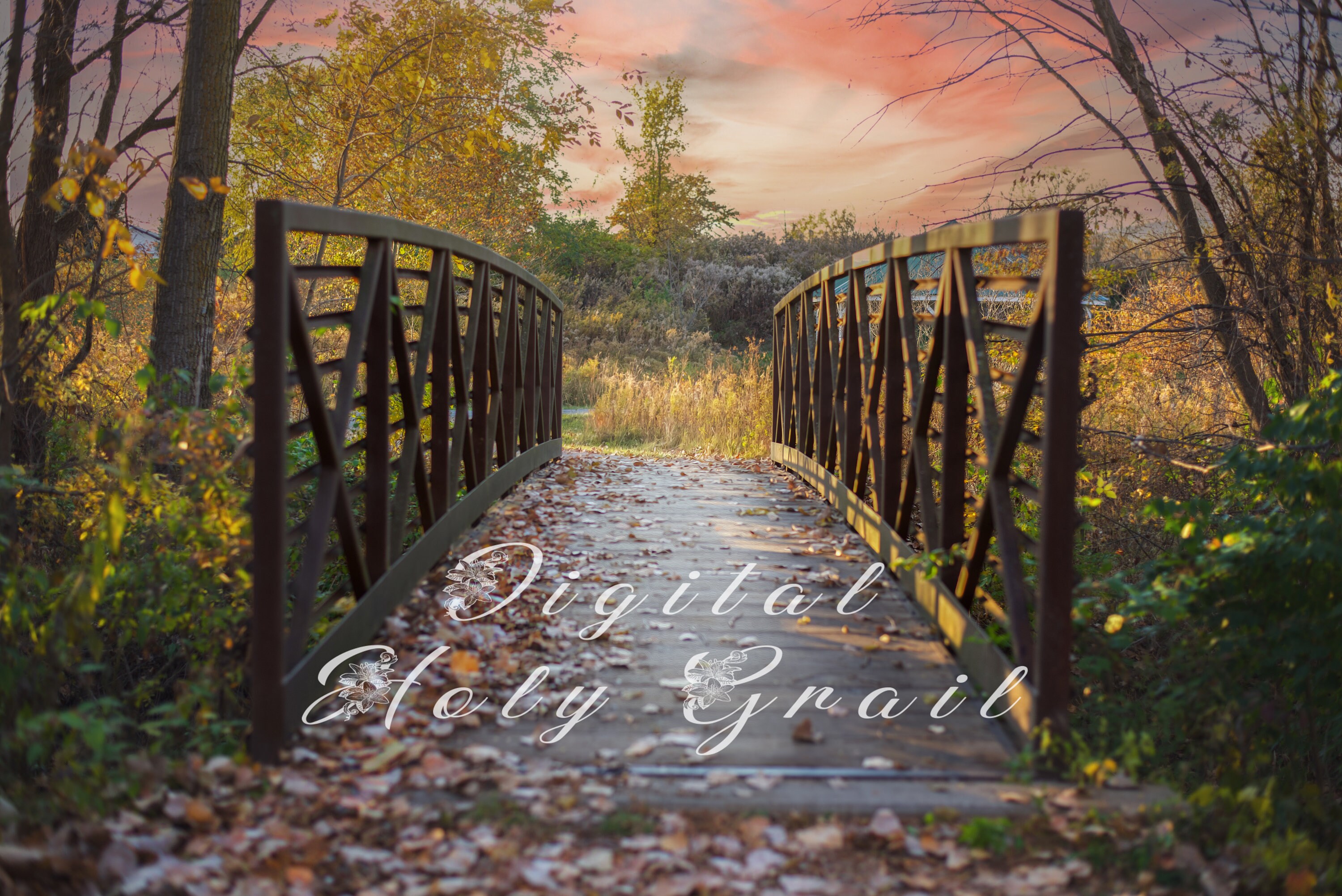 Digital Background - Etsy