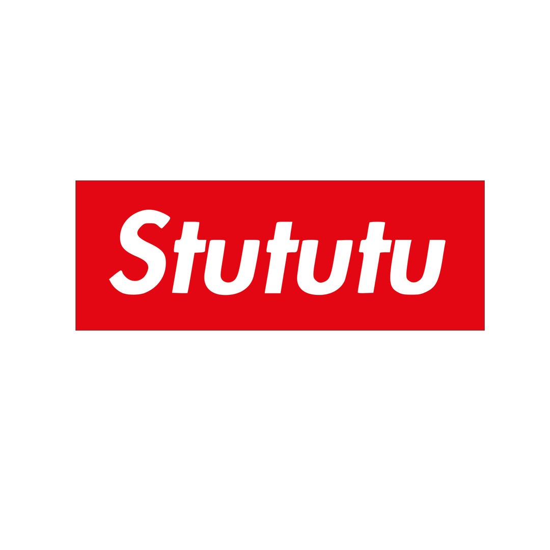 Stututu Car Guy Sticker on Vinyl - Etsy