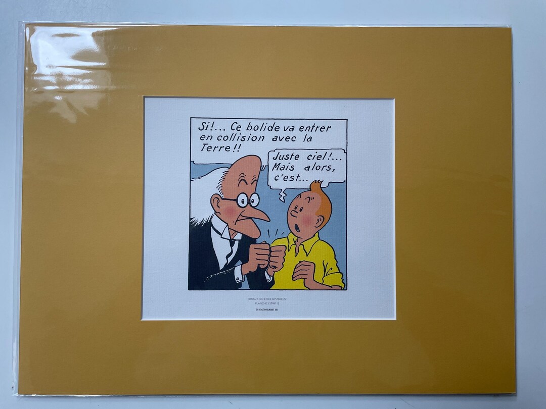 Original Vintage French Tintin Moulinsart Lithograph Sold Out Print ...