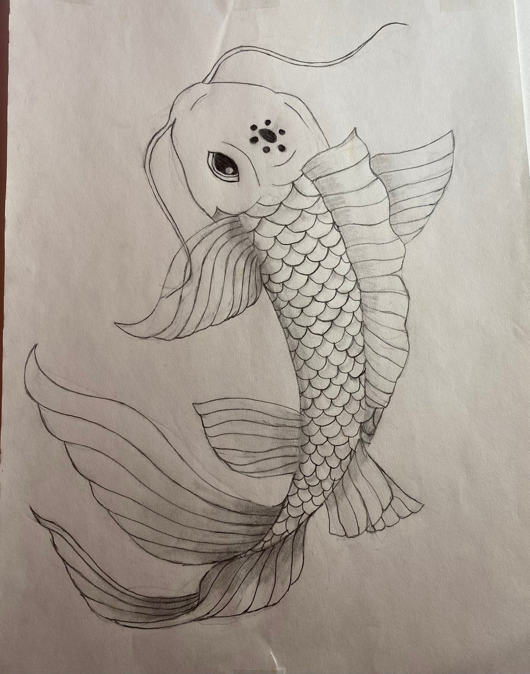 Koi Fish Drawing - Etsy
