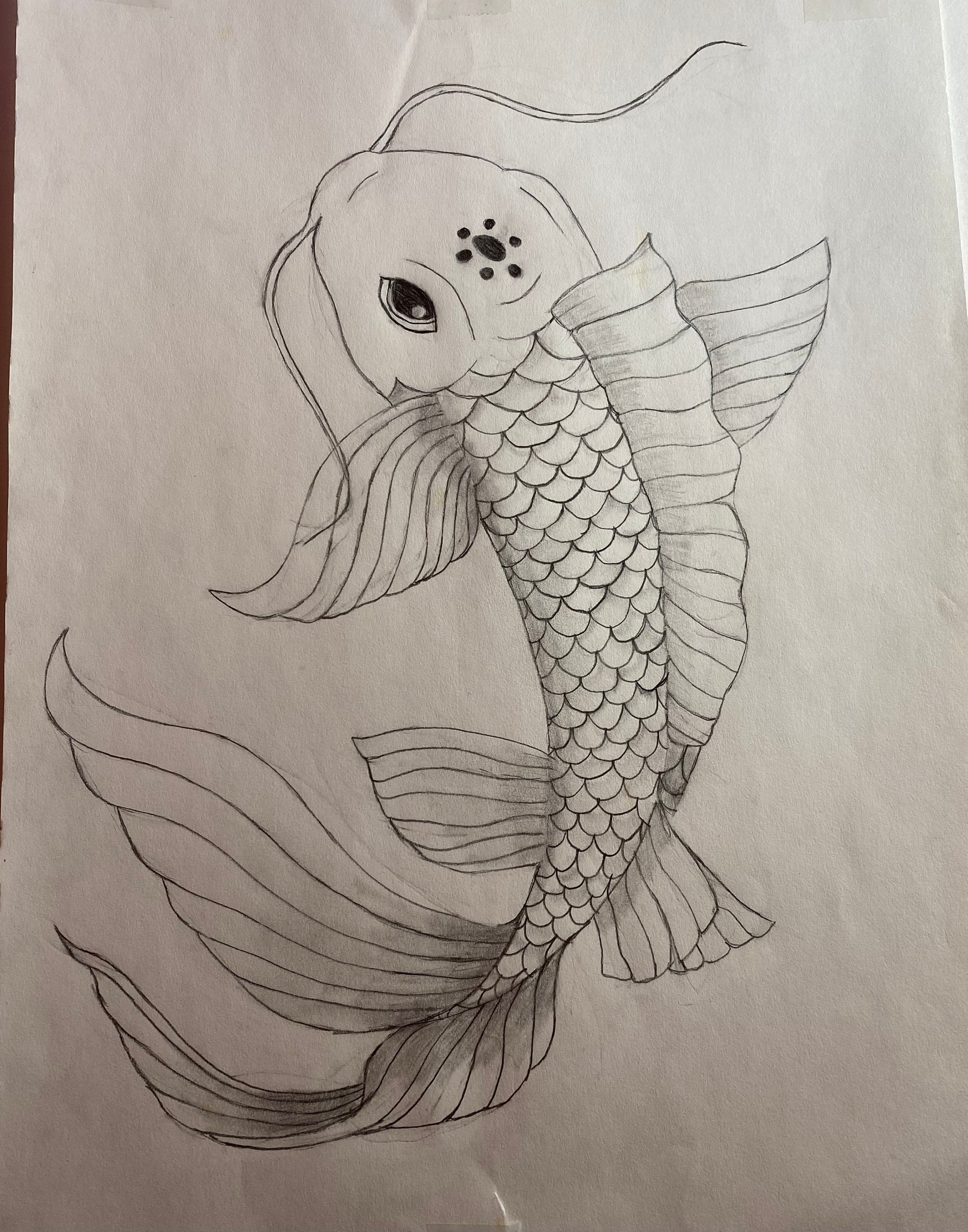 Koi Fish Drawing - Etsy