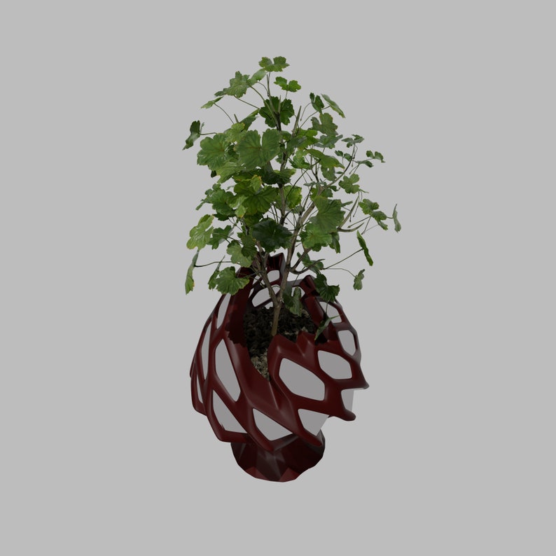 3D Printed Vases for Elegance,plant Pot STL File for Planters and Plant ...