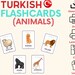 Printible Turkish Flashcards Animals Theme 80 Cards, 10 Sets HQ - Etsy