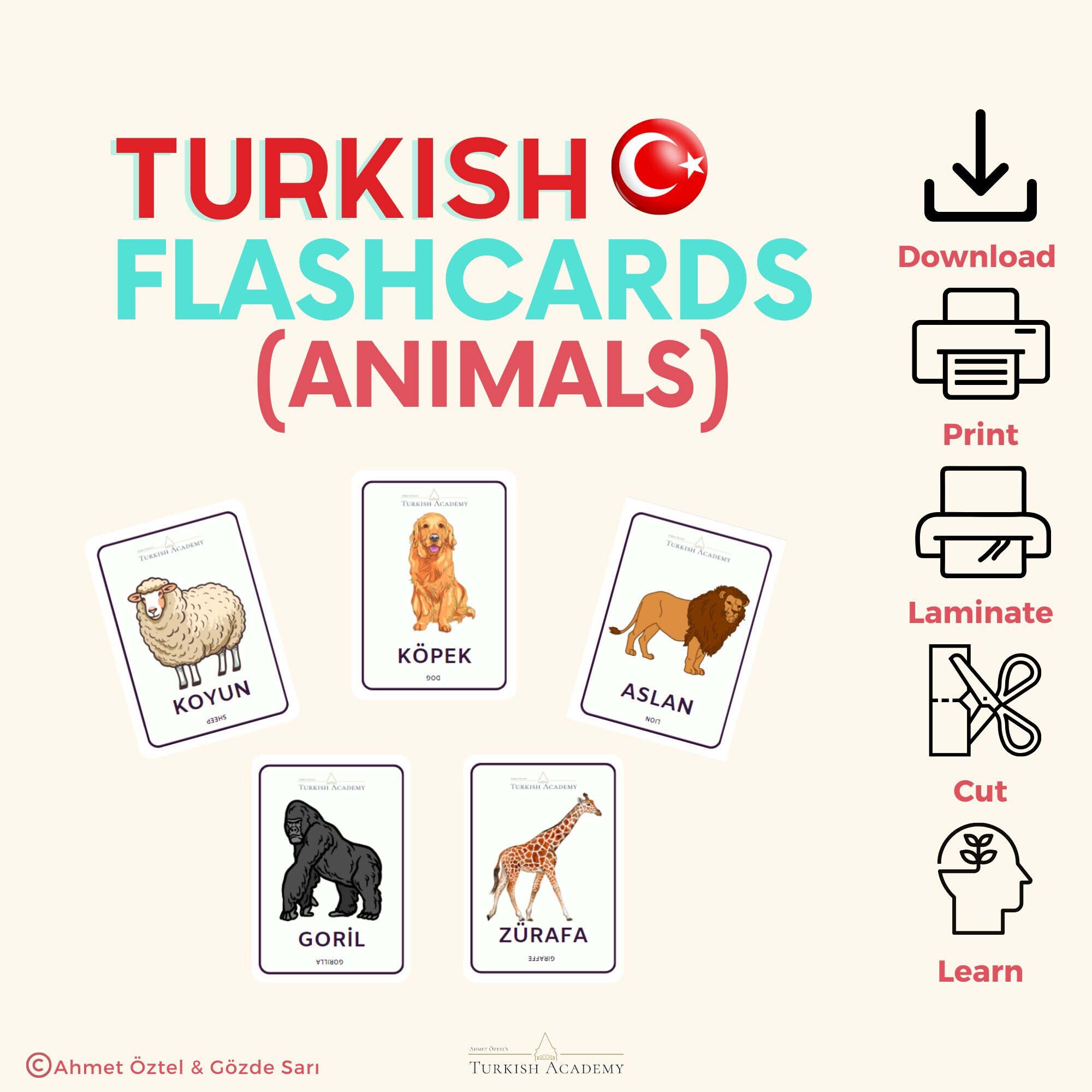 Printible Turkish Flashcards Animals Theme 80 Cards, 10 Sets HQ - Etsy