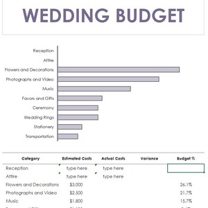 Wedding Planner Budget Excel Fillable File - Etsy