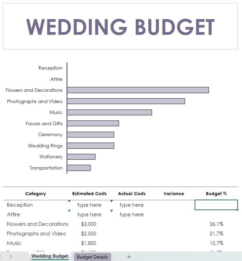 Wedding Planner Budget Excel Fillable File - Etsy
