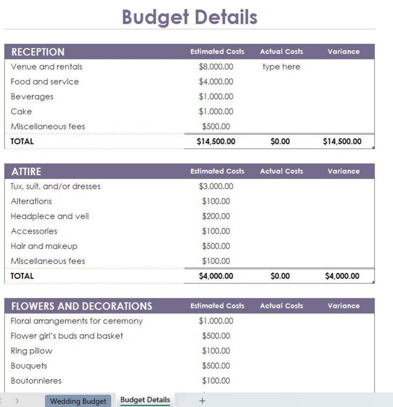 Wedding Planner Budget Excel Fillable File - Etsy