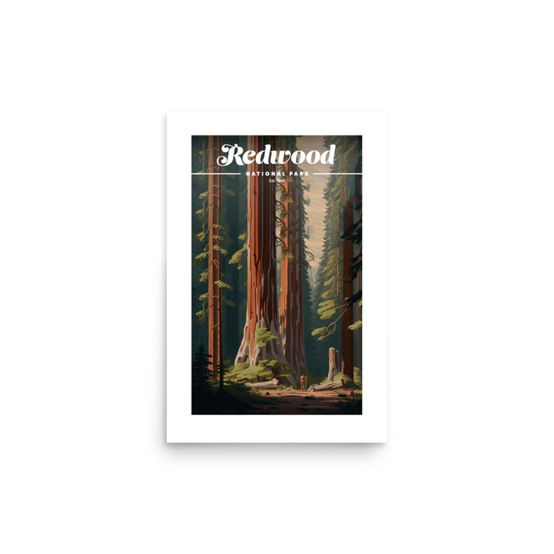 Redwood National Park Poster - Etsy