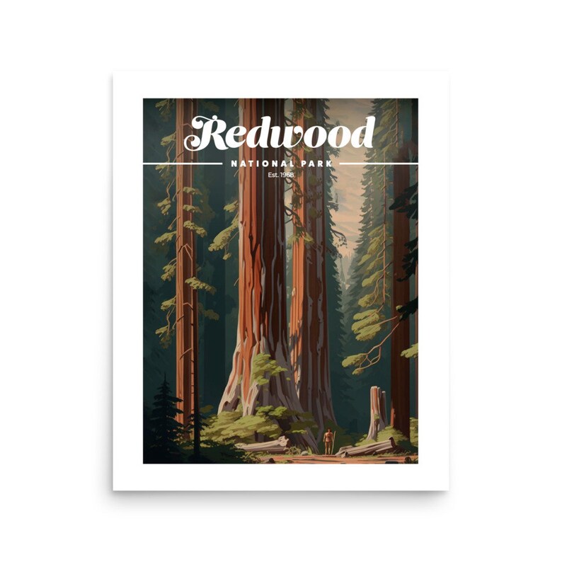 Redwood National Park Poster - Etsy