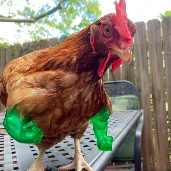 Hulk Arms for Chicken - Etsy