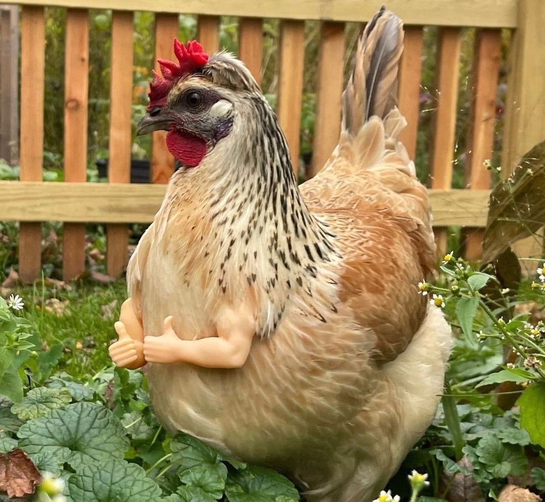 Thumbs up Chicken Arms: Thumbs up Muscle Arms for Chickens and Dinosaur ...