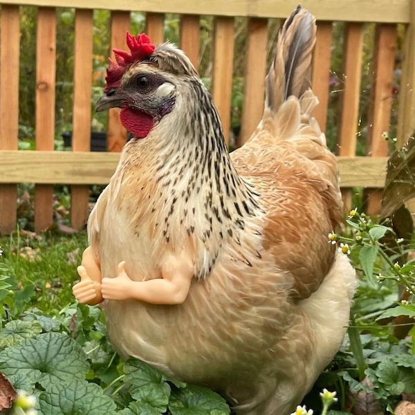 Dinosaur Costume for Chickens - Etsy