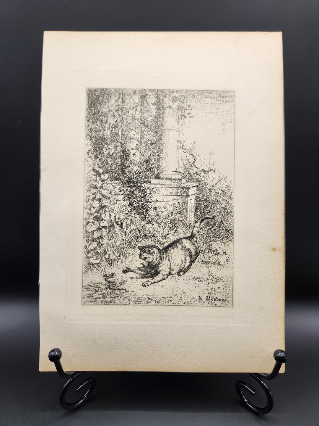 Karl Bodner (johann Carl Bodmer) - Cat Plays With a Snake (rare Etching ...
