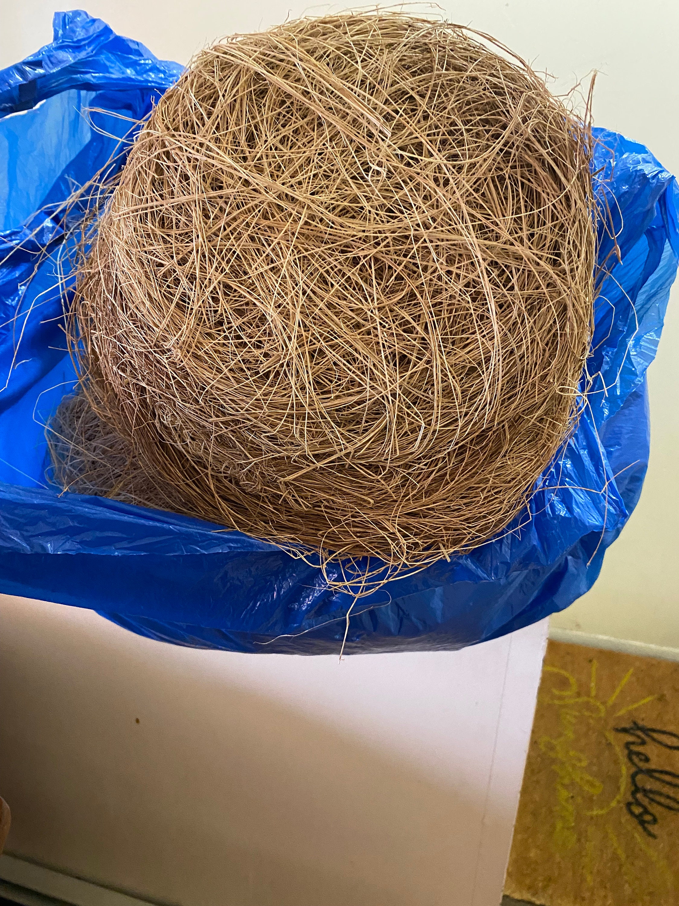 2 X Big African Raw Bath Exfoliating Unprocessed Sponge “kankan Lbile ...