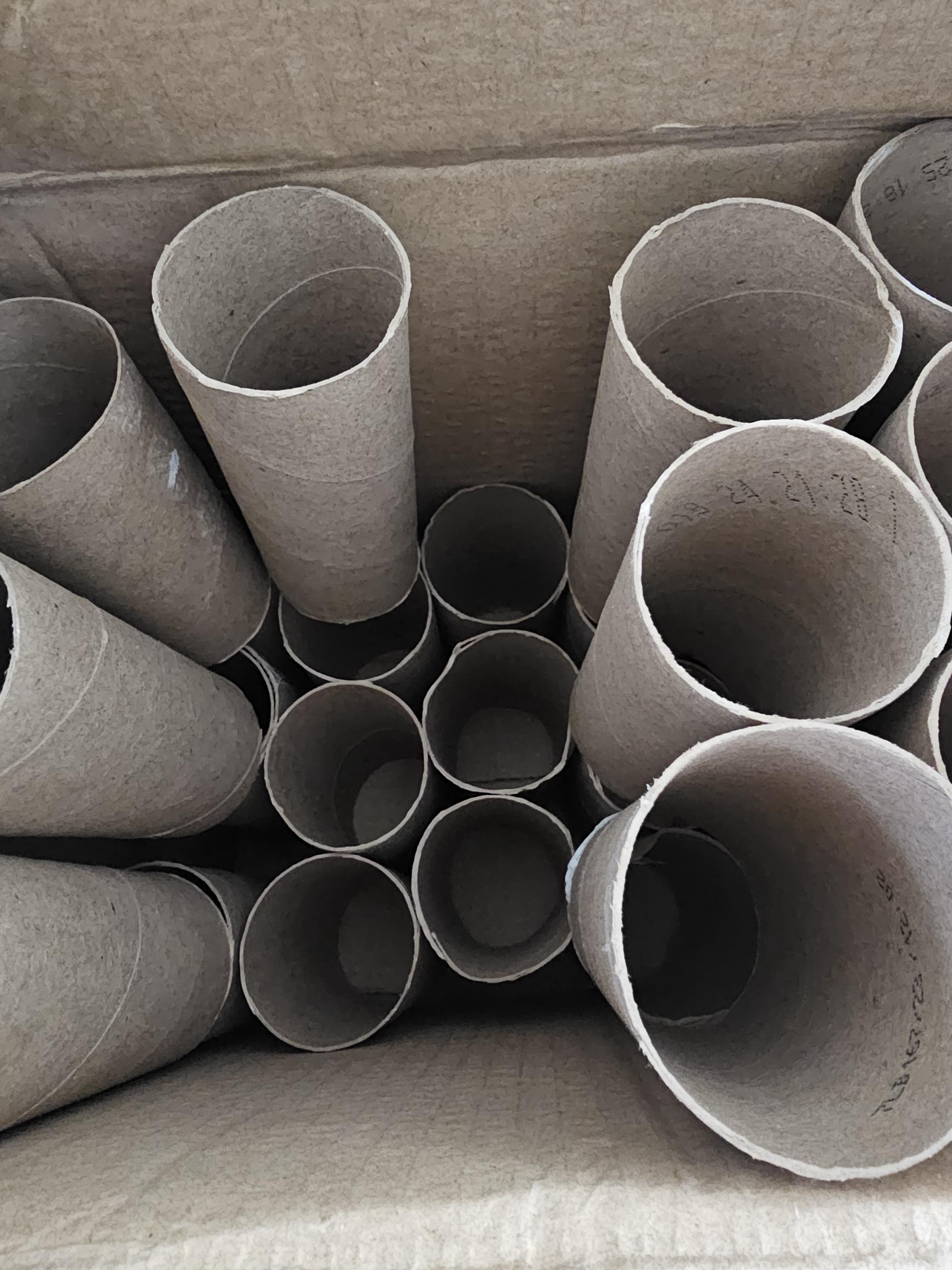 30 Pcs Eco-friendly Craft Tubes | Empty Toilet Paper Rolls for DIY ...