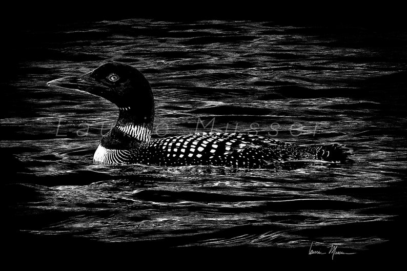 Loon Bird Print: Black and White Pencil Drawing, Wildlife Art - Etsy