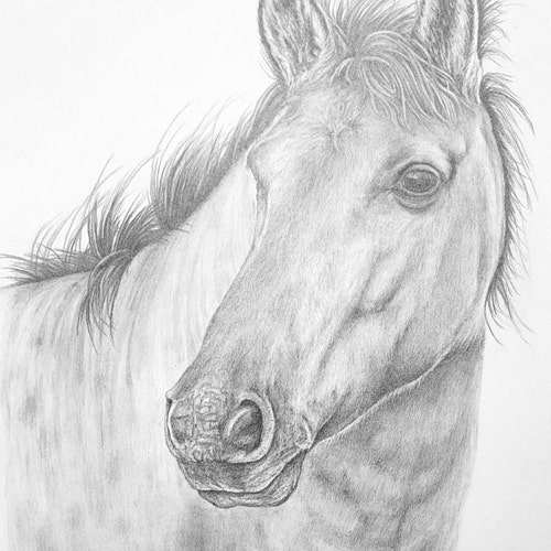 ChristineMcNeilArt - Etsy