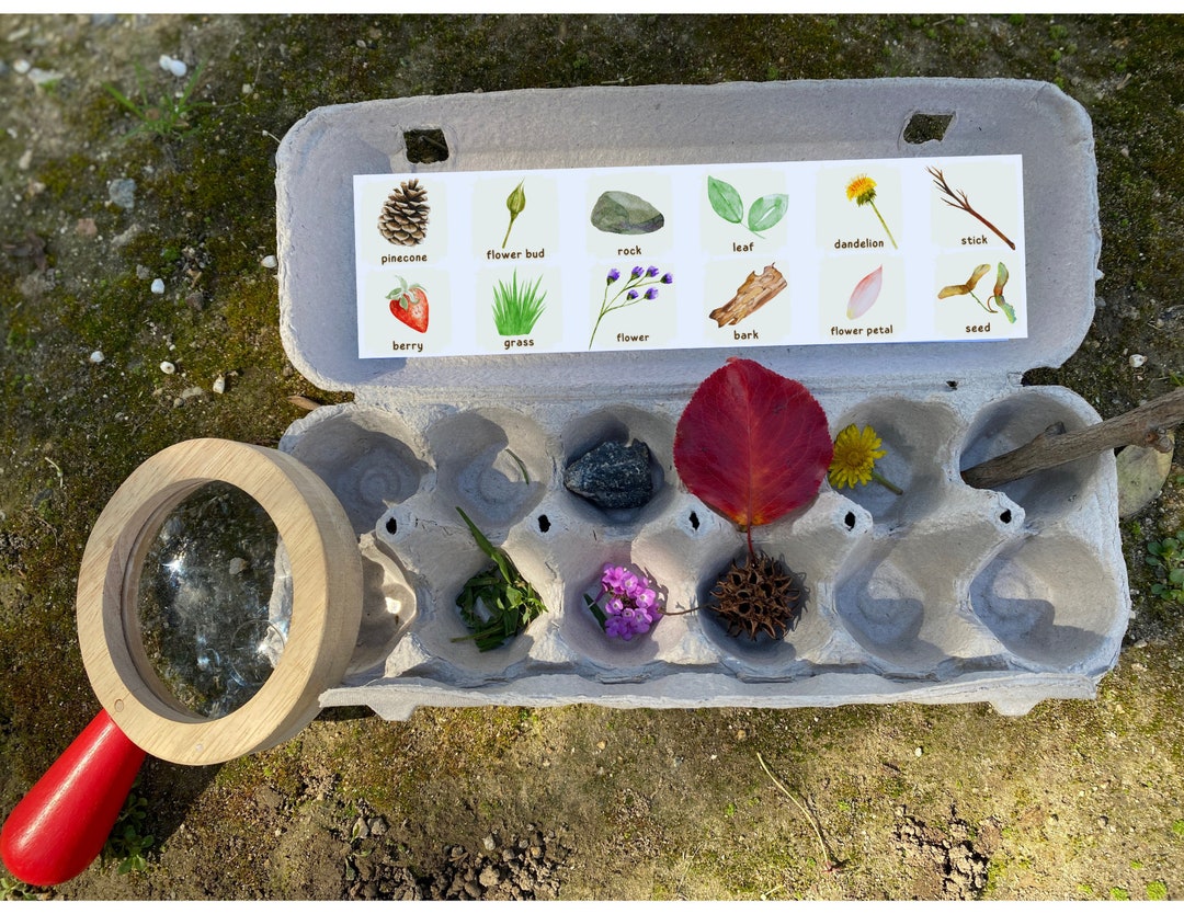 Printable Nature Scavenger Hunt - Egg Carton Nature Hunt - Spring ...