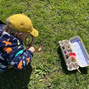 Printable Nature Scavenger Hunt - Egg Carton Nature Hunt - Spring ...