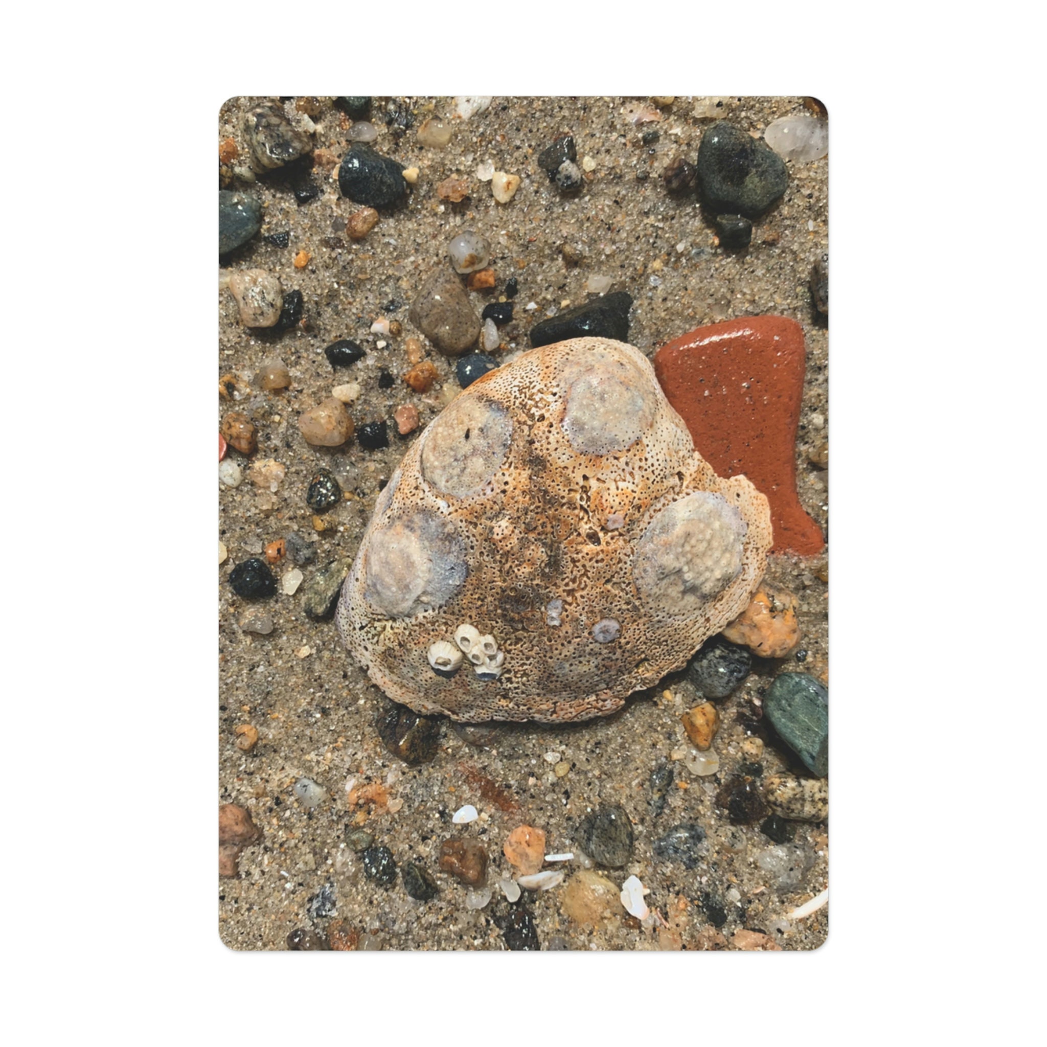 Shell Playing Card Deck - Etsy