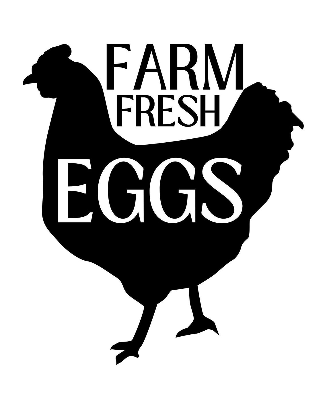 Farm Fresh Eggs - Etsy